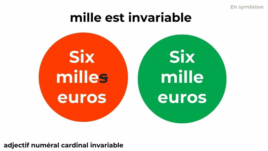 Soi-disant ou soit disant ? L’erreur que beaucoup font - EN SYMBIOSE